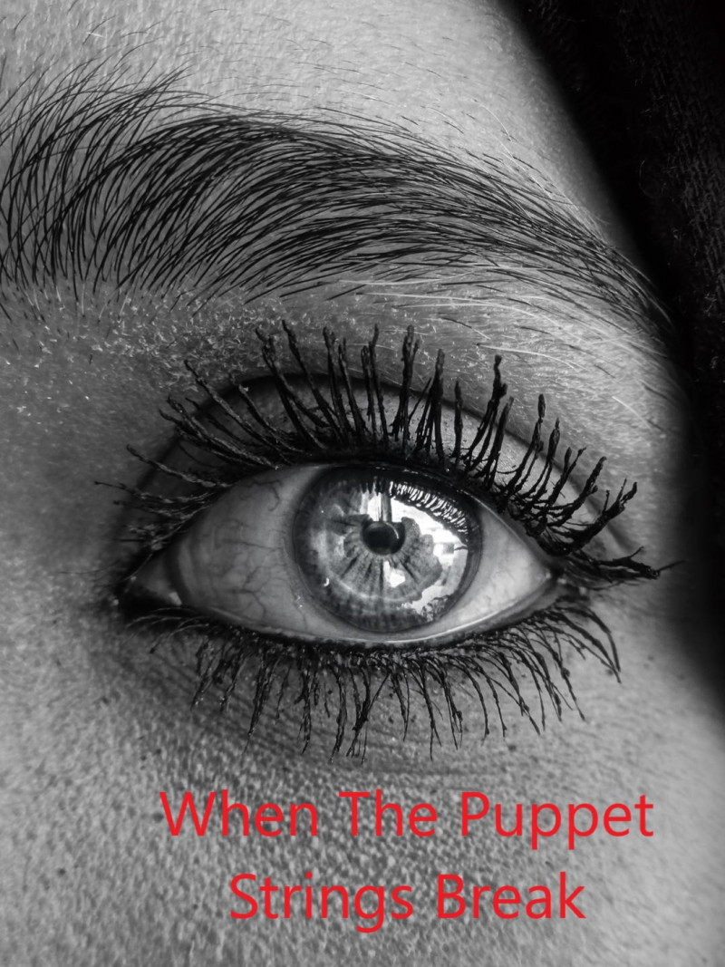 Storyrocket | When the Puppet Strings Break