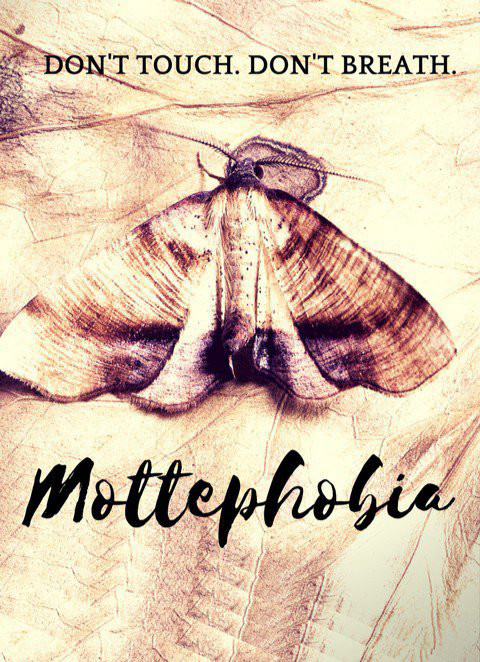 Storyrocket | Mottephobia